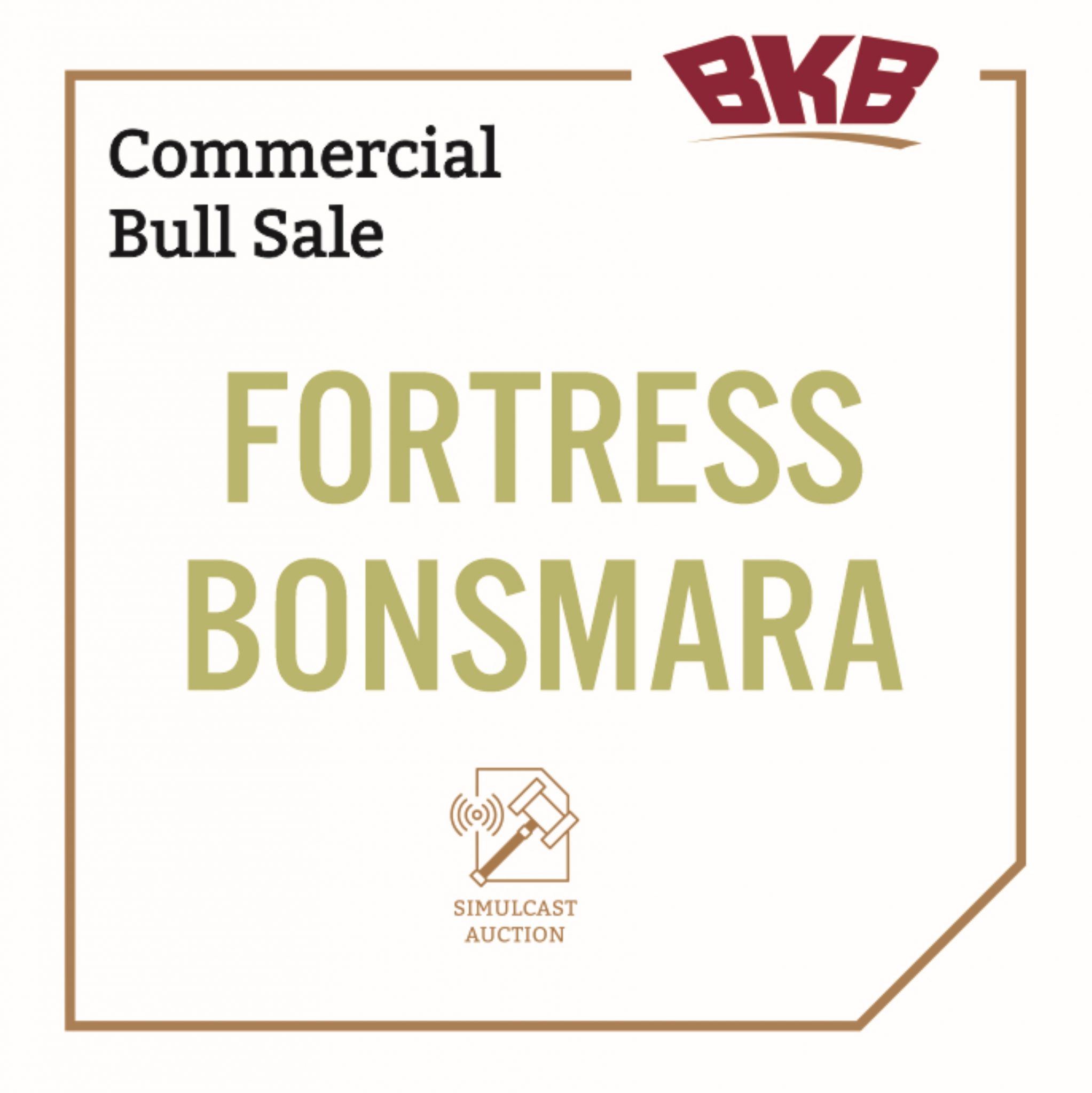 Upcoming Events – BKB Events