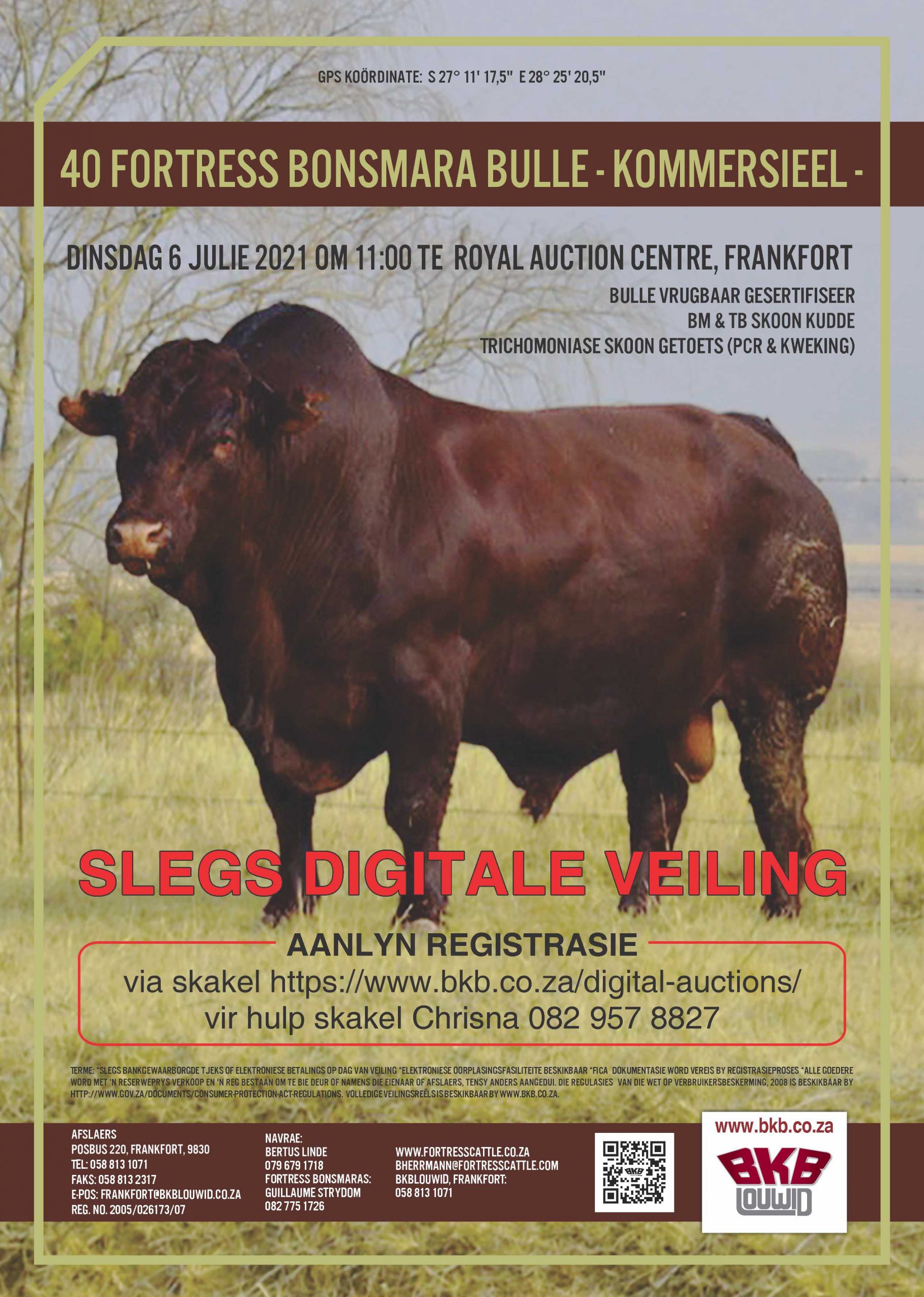 FORTRESS COMMERCIAL BONSMARA BULL SALE - BKB Events
