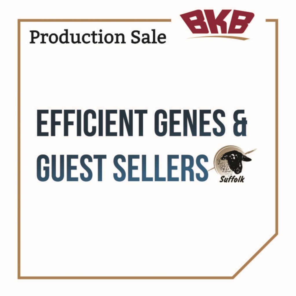 Upcoming Events – BKB Events