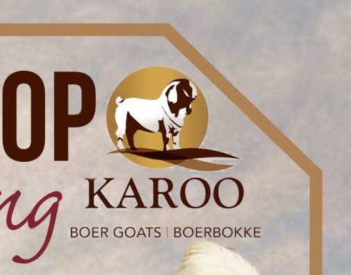 KAROO GROBLERSHOOP BOER GOAT SALE - BKB Events