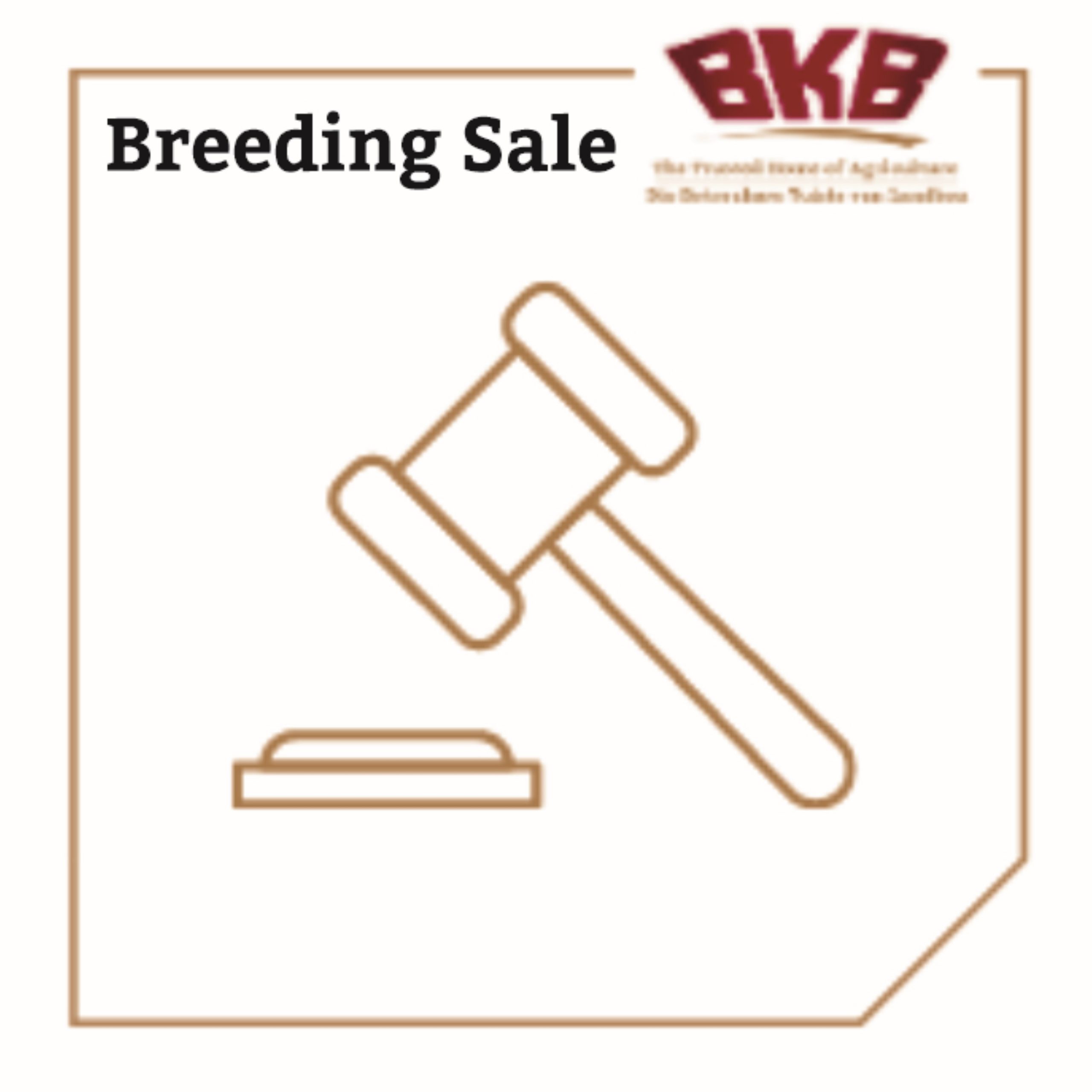 Upcoming Events – BKB Events