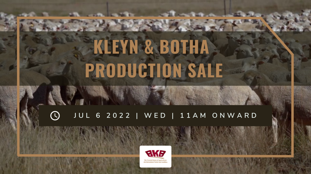 Upcoming Events – BKB Events