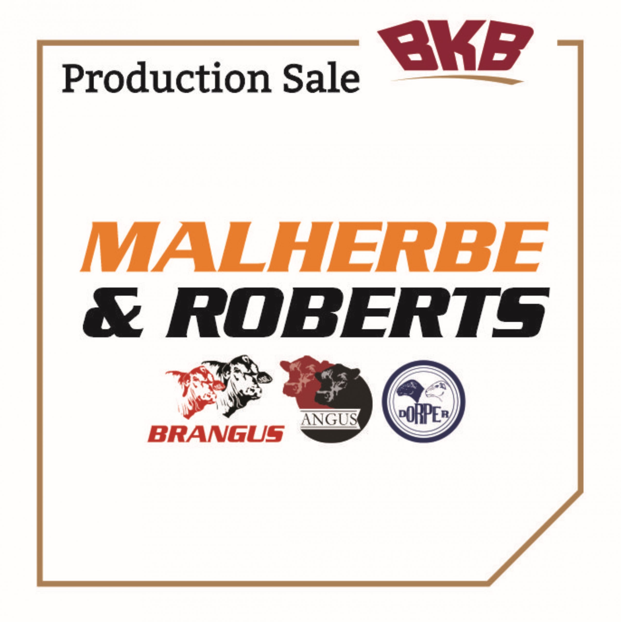 Upcoming Events – BKB Events