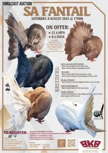 Upcoming Events – BKB Events