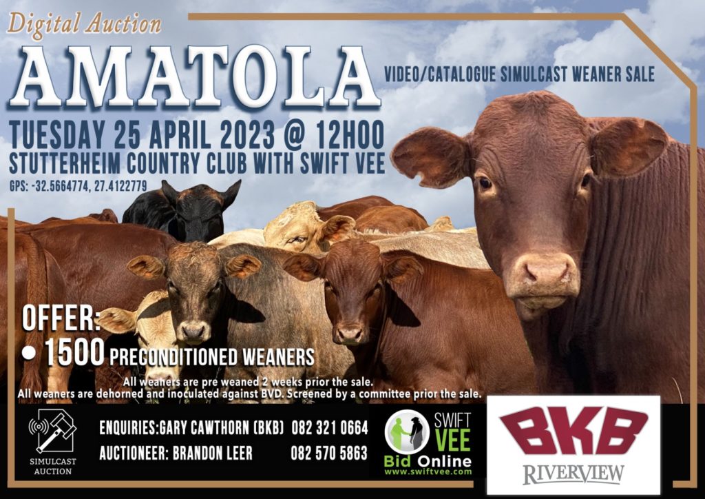 Upcoming Events – BKB Events