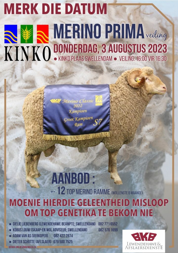 KINKO MERINO PRIMA AUCTION - BKB Events