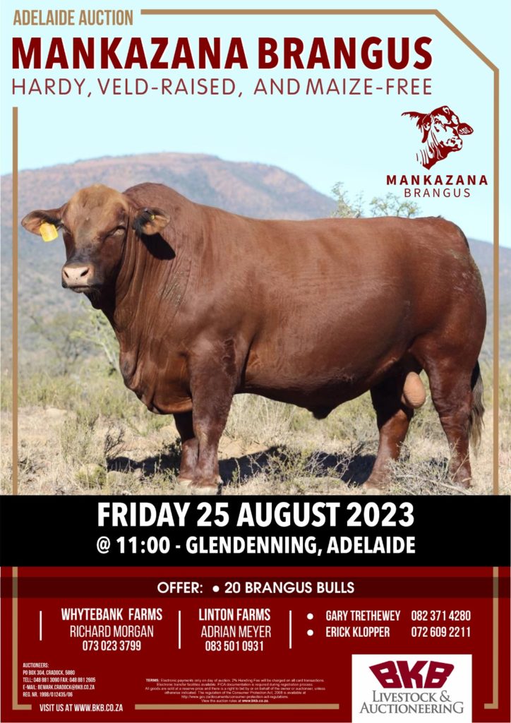 MANKAZANA BRANGUS AUCTION - BKB Events